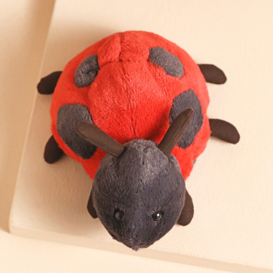 Layla Ladybird Soft Toy | Children's | Jellycat | Lisa Angel