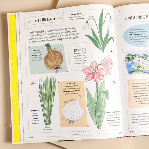 Grow: A First Guide to Plants Book | Kids' Gifts | Lisa Angel
