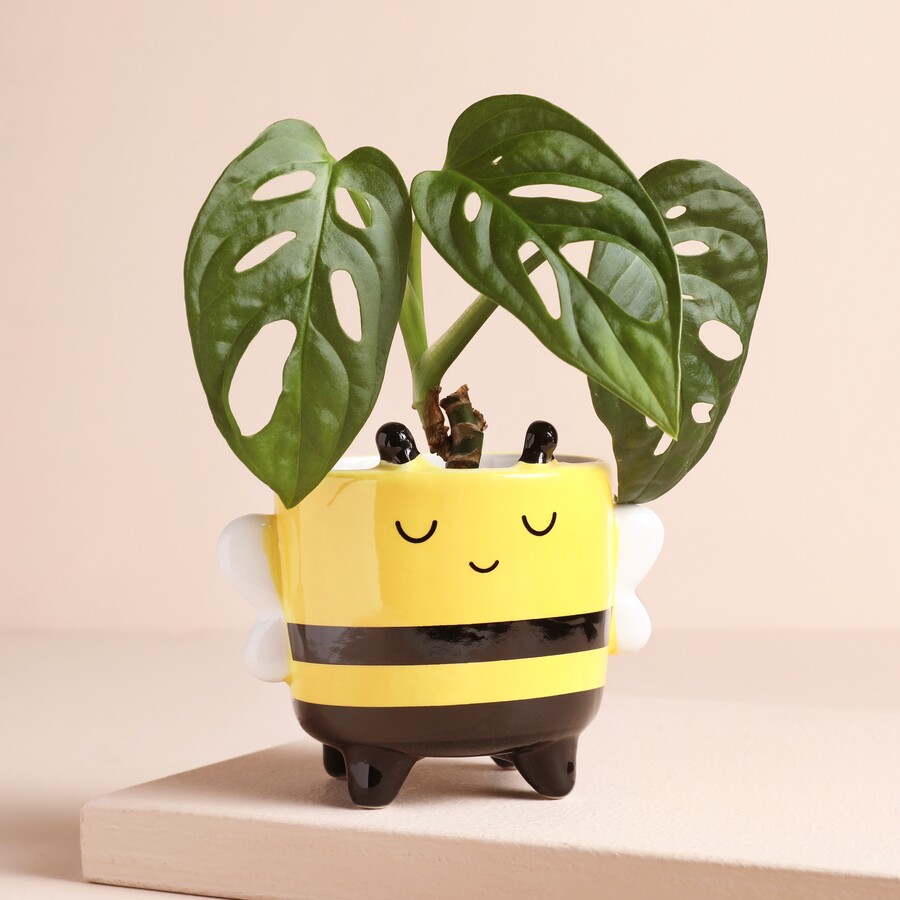 Mini Bee Sitting Planter | Homeware | Sass & Belle | Lisa Angel