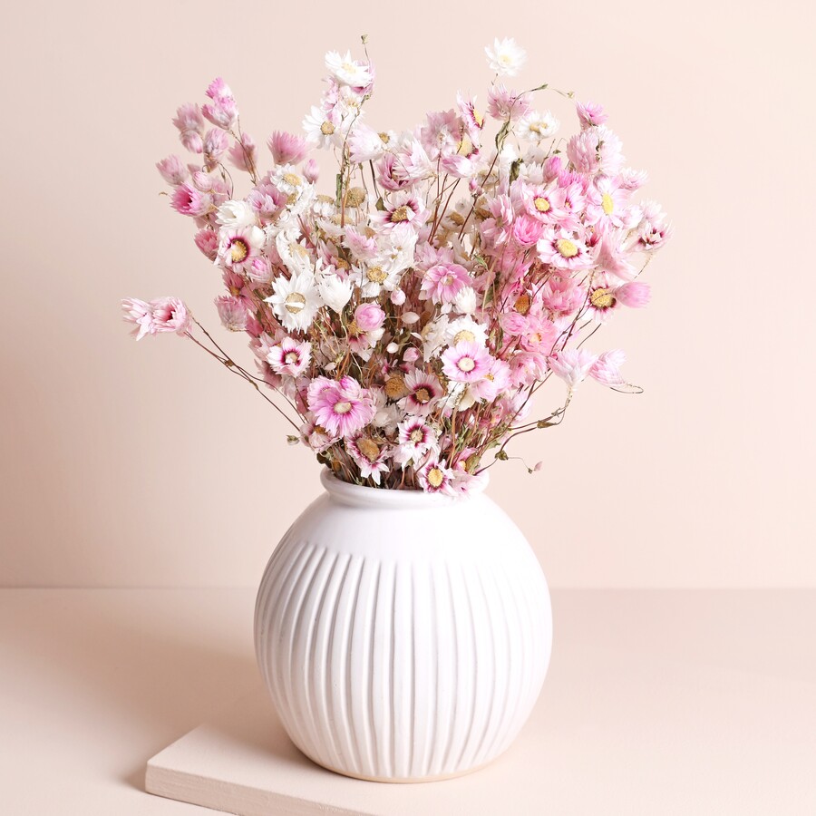Sunray Daisy Dried Flower Bunch | Homeware | Lisa Angel