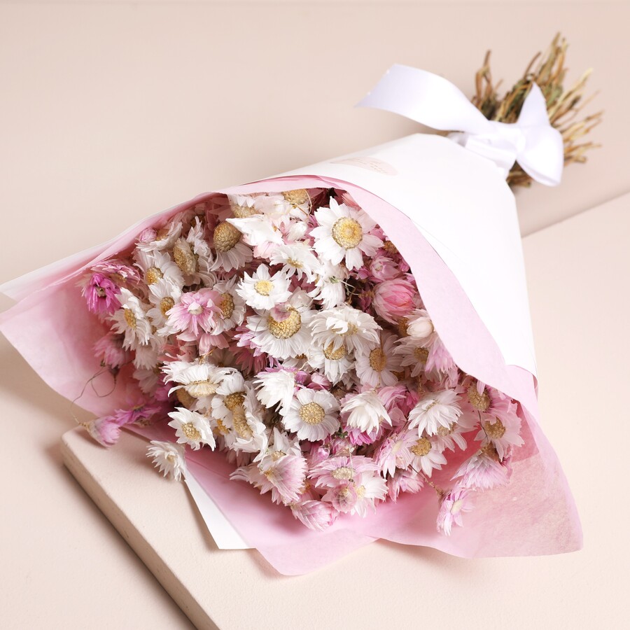 Sunray Daisy Dried Flower Bunch | Homeware | Lisa Angel