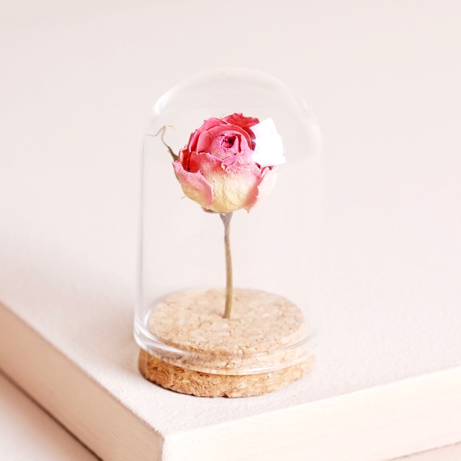 Mini Rose Dried Flower Glass Dome | Flower Room | Lisa Angel