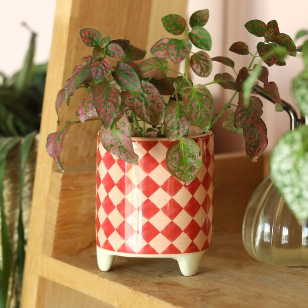 Pink and Red Harlequin Ceramic Mini Planter | Home | Lisa Angel