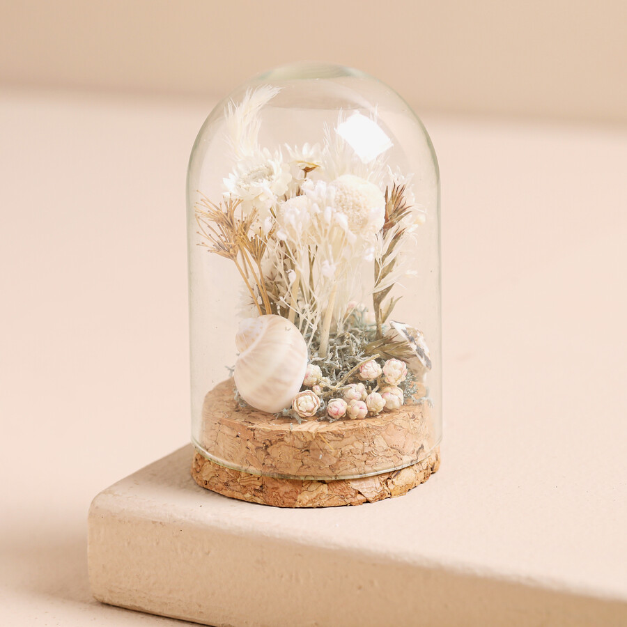 Mini Seashells Dried Flowers Glass Dome | Lisa Angel