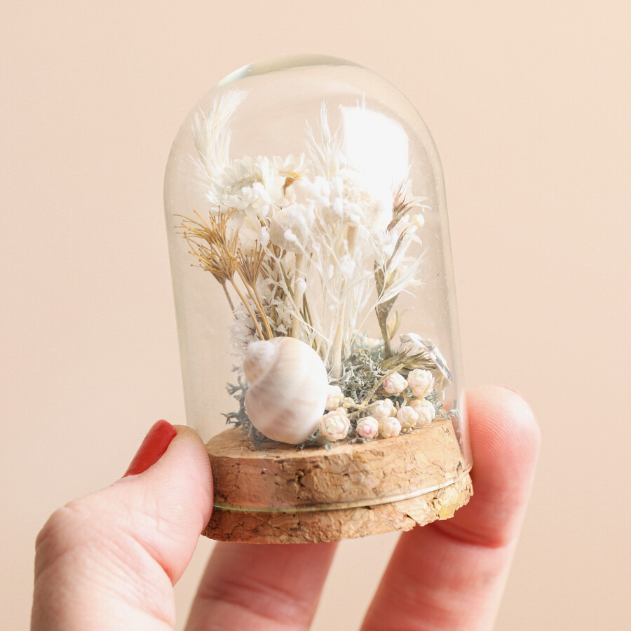Mini Seashells Dried Flowers Glass Dome | Lisa Angel