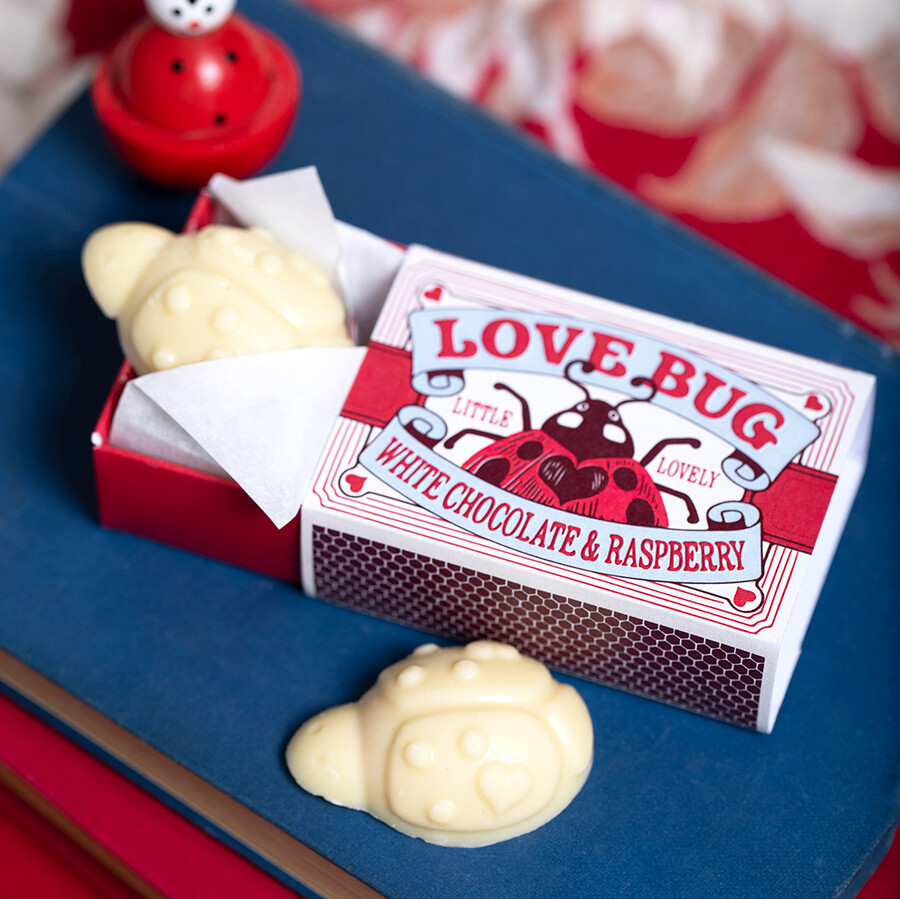 White Chocolate and Raspberry Love Bug | The Chocolate Gift Company ...