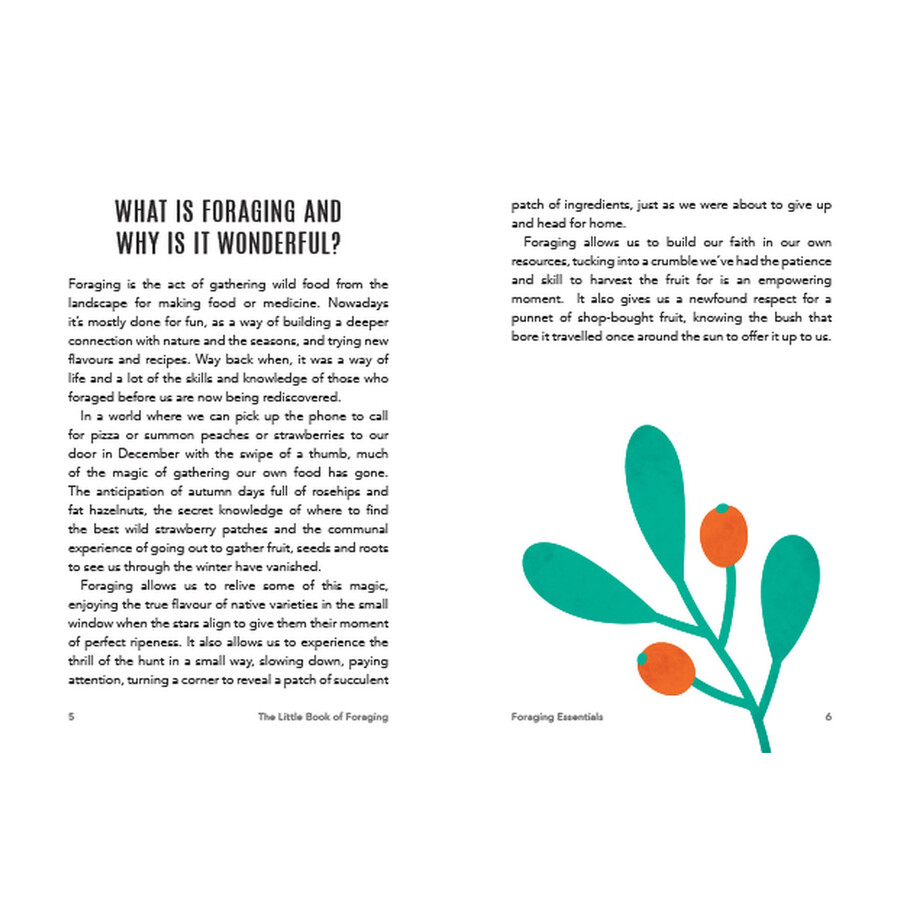 The Little Book of Foraging | Stationary | Lisa Angel