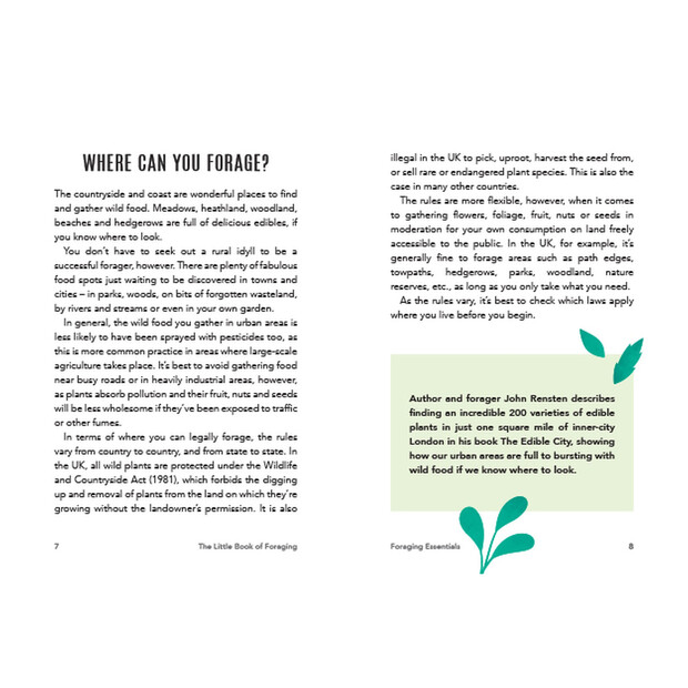 The Little Book of Foraging | Stationary | Lisa Angel