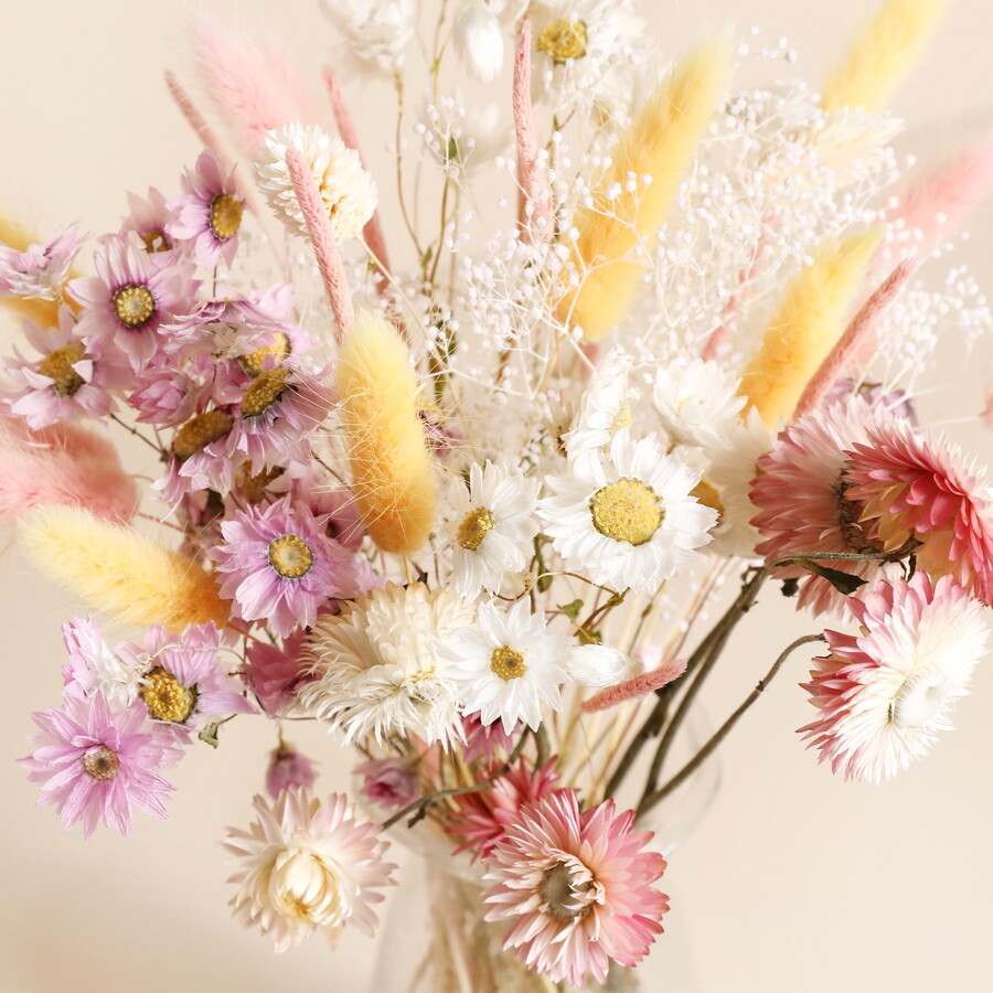 Blushing Peach Dried Flower Posy Bunch | Lisa Angel